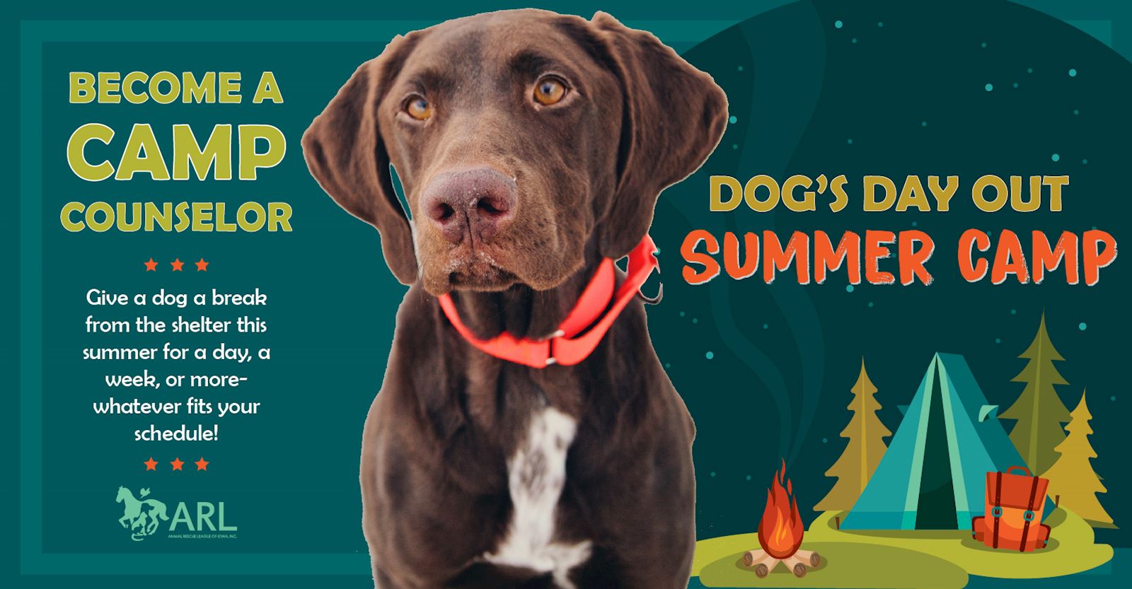 Shelter Dog Getaway | Animal Rescue League of Iowa