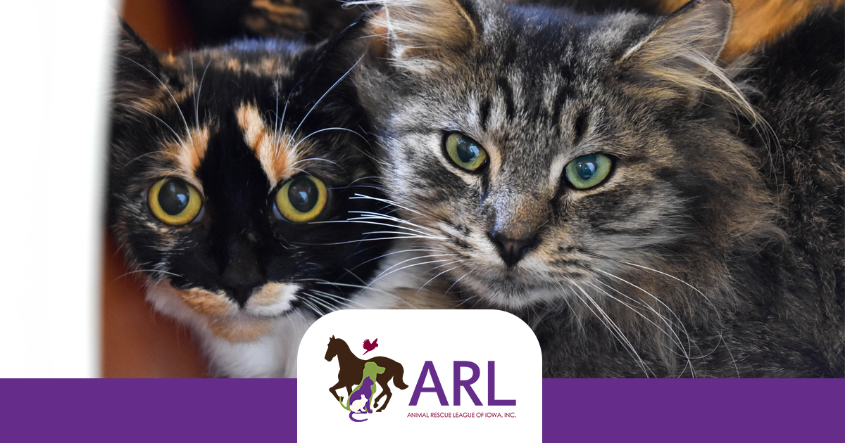 ARL Main | ARL - Animal Rescue League of Iowa, Inc.